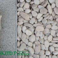 Kashmiri Ivory Natural Pebbles - Cobble Patch Logan